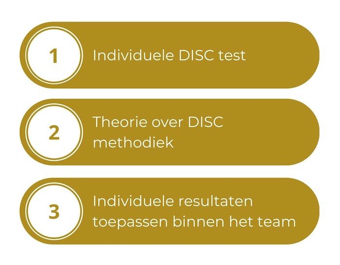 DISC Coaching - Disc Coach | Ontdek je persoonlijkheidsprofiel